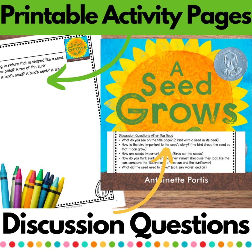 21 Library Lessons for Kindergarten, First, and Second Grade Picture ...