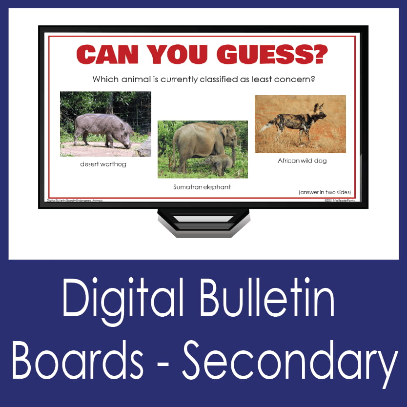 Bulletin Boards & Signs Archives | Librarians Teach