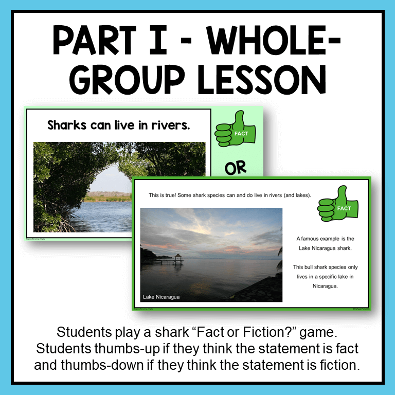 Sharks Storytime Lesson and Scavenger Hunts | Librarians Teach